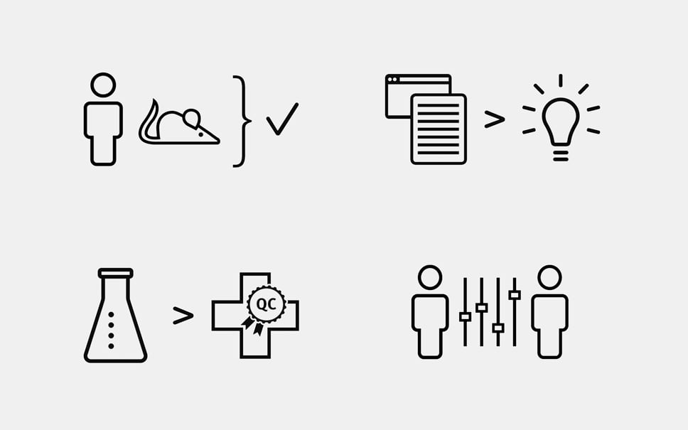 Infografiken für Broschüren mit 5 Beispielen